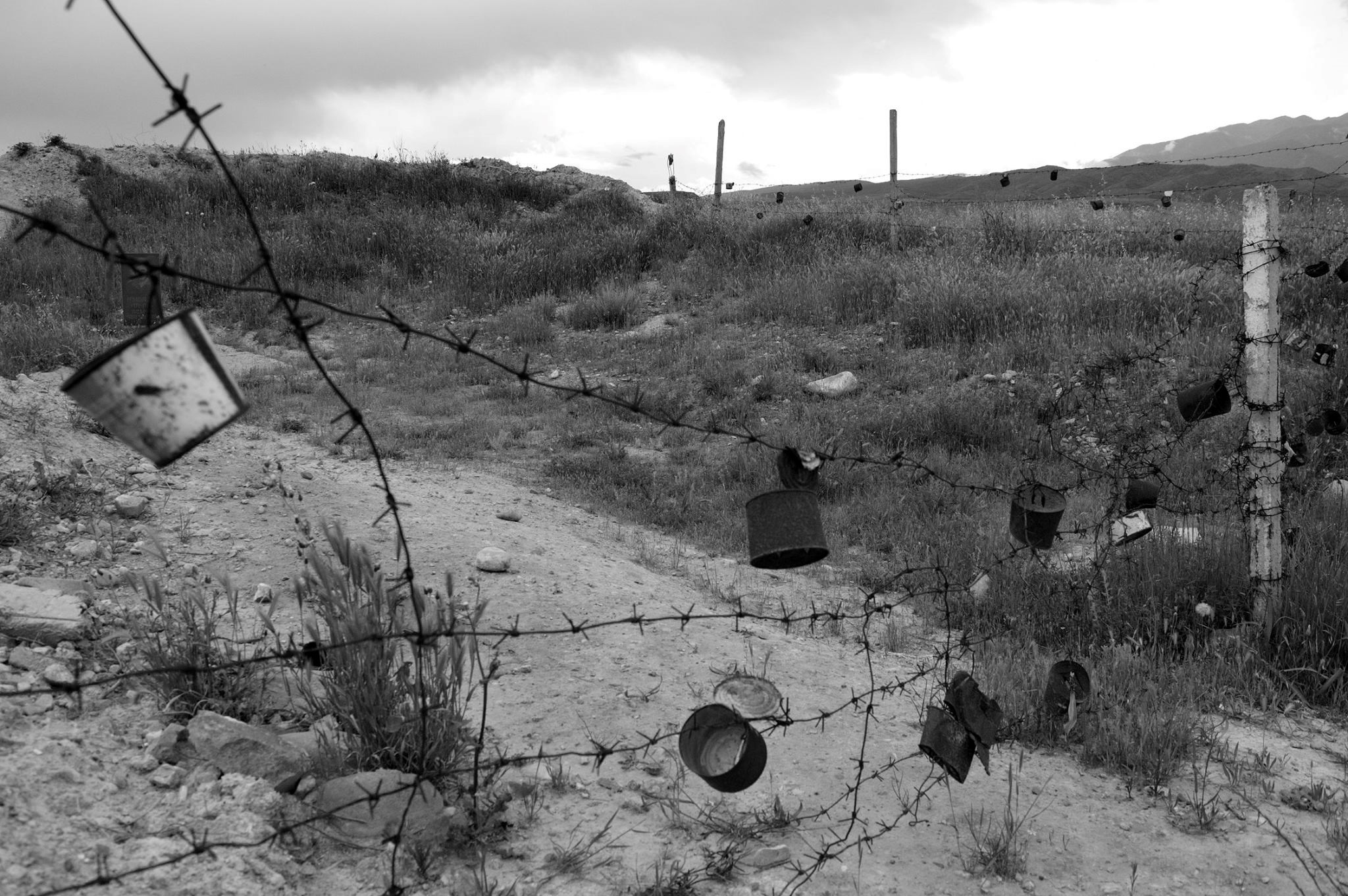 Sette poesie | NAZIONE INDIANA