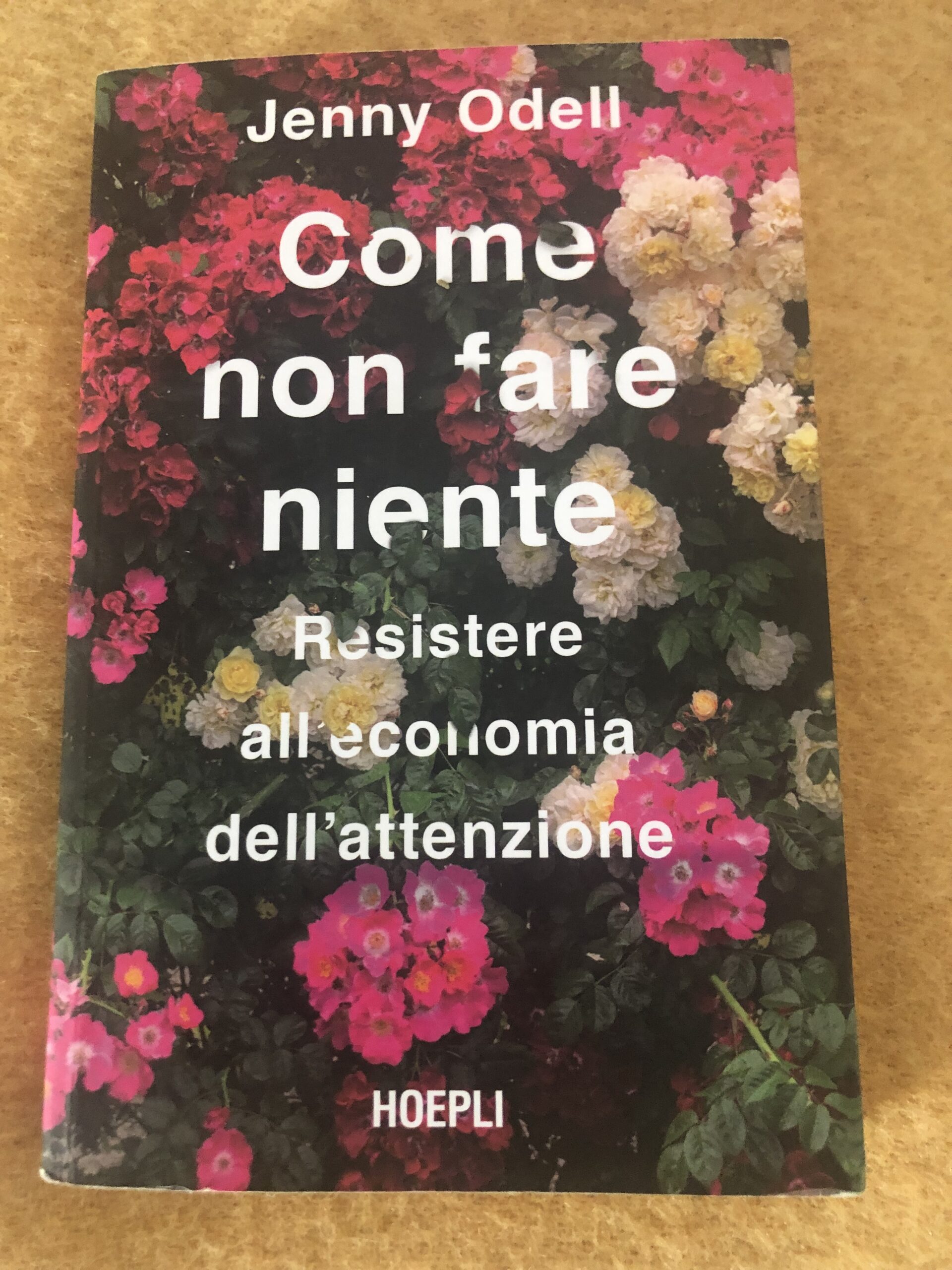 Cavalcare la tigre. Sull’economia dell’attenzione di Jenny Odell ...